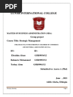 ERCA Strategic Management Report | PDF | Strategic Management | Taxes