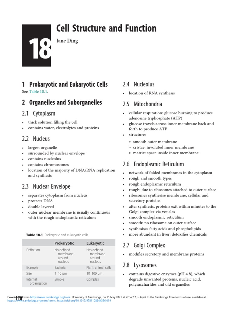 An Overview of Cell Structure and Function: A Breakdown of Organelles ...