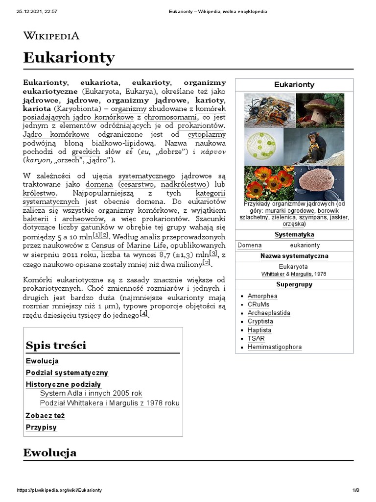 Eukarionty - Wikipedia, Wolna Encyklopedia | PDF