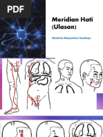 Meridian Paru Paru | PDF