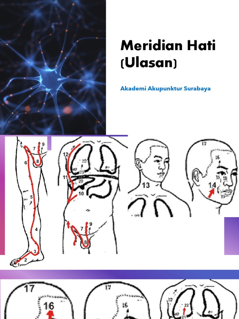 Meridian Hati (Ulasan) | PDF