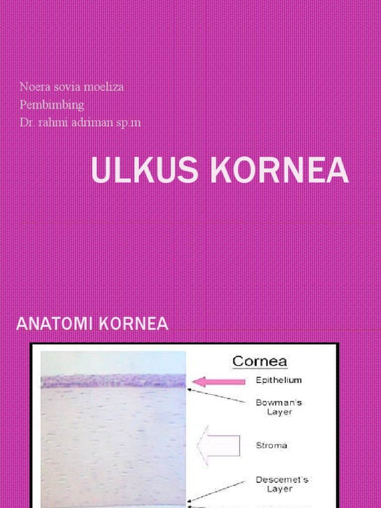 Ulkus Kornea | PDF