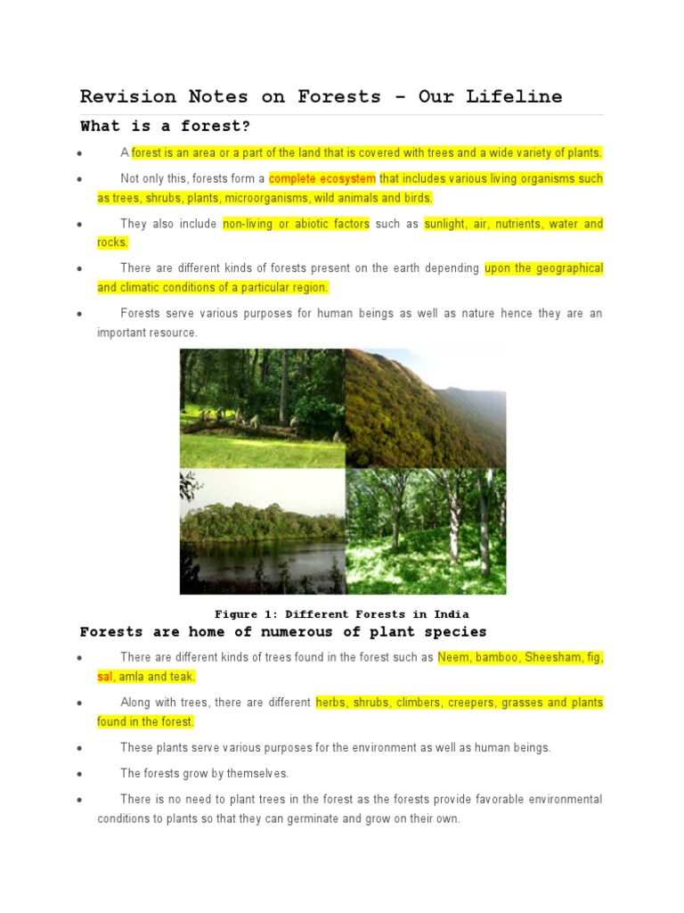 CH-17 Forest-Our Lifeline | PDF | Soil | Forests