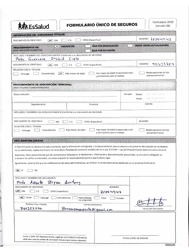 Formulario 1010 Versión 6 | PDF