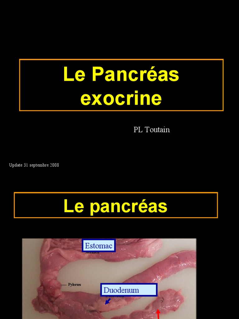 11 Cours Pancreas | PDF | Pancréas | Organe
