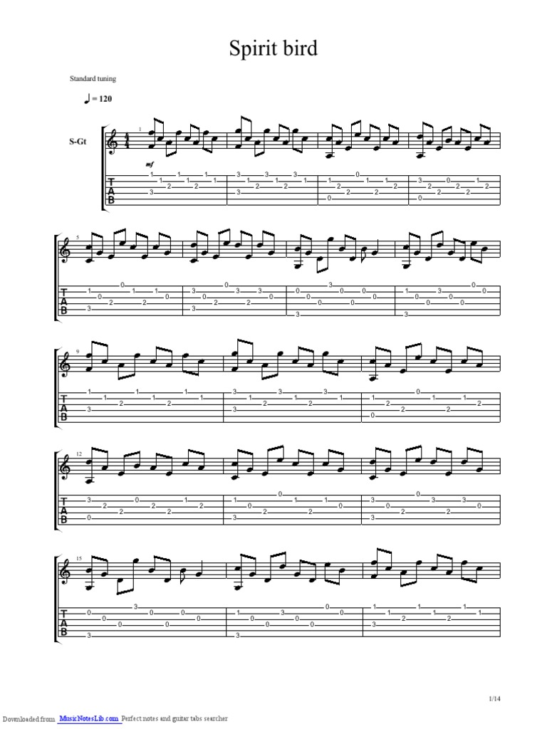 Xavier Rudd-Spirit Bird | PDF | Musical Compositions | Musical Instruments