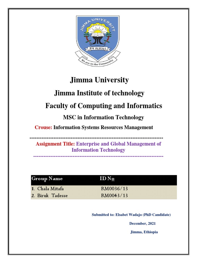 Global IT Management Strategies | PDF | Information System | Internet