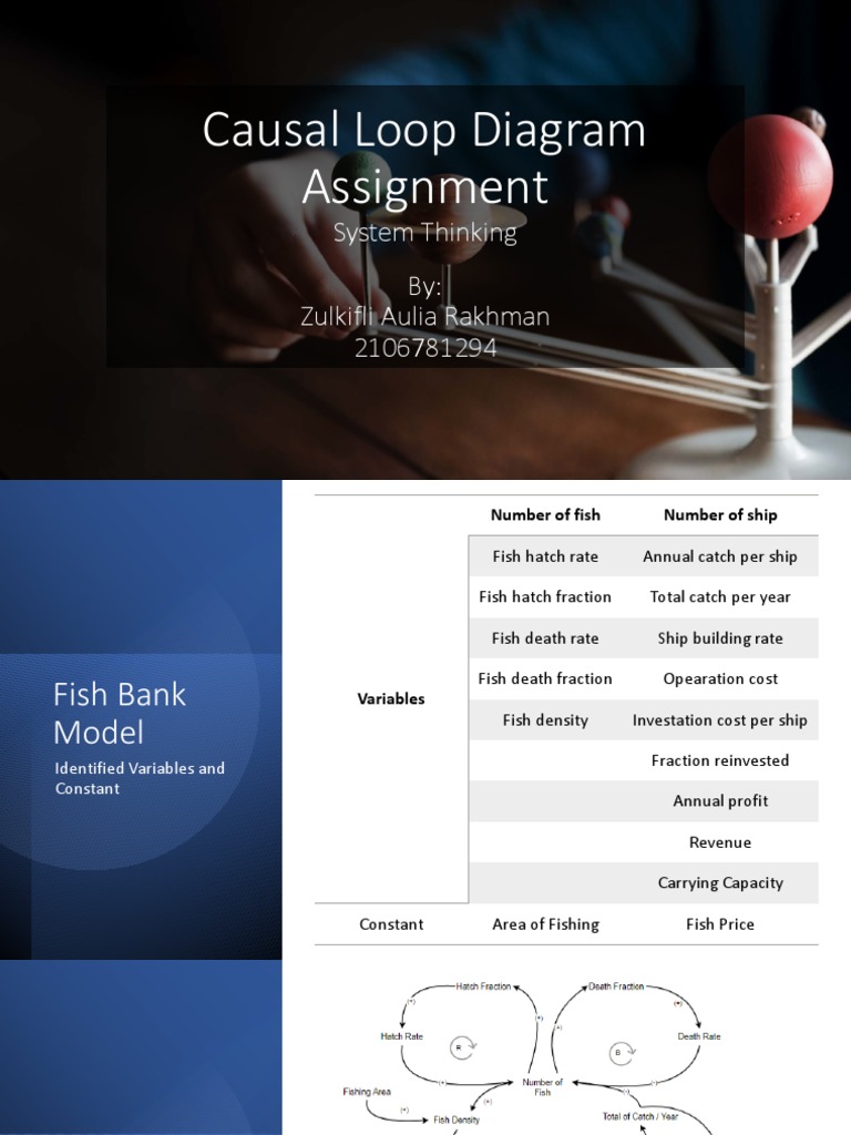 Causal Loop Diagram: Fish Bank & Housing Policies | PDF