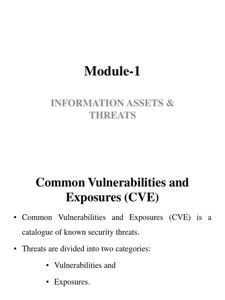 2 Principles and Concepts Data Security Upload | PDF | Vulnerability (Computing) | Information ...