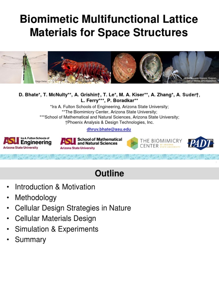 Bhate 2017 10 NIEA Biomimetic Lattice Materials | PDF