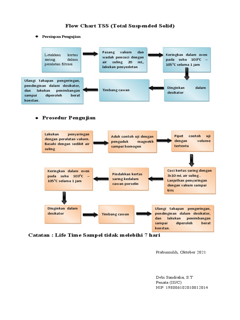 Flow Chart TSS | PDF