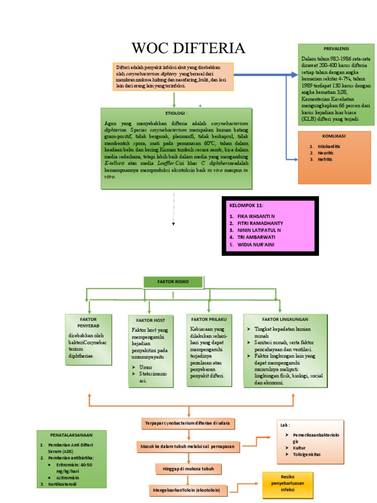 Woc Difteri Kelompok 11 | PDF