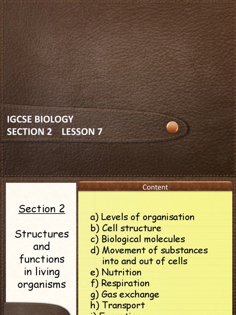 Biology Section 2 Lesson 7 | PDF | Stimulus (Physiology) | Hormone