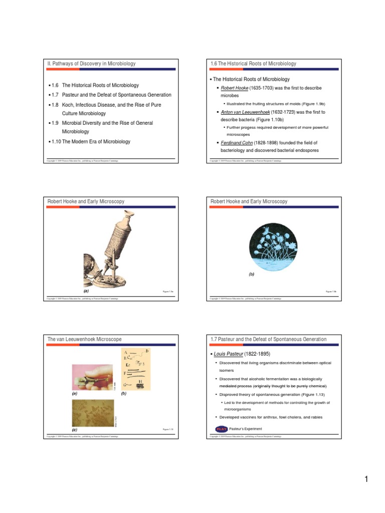 History of Microbiology | PDF | Microbiology | Prokaryote
