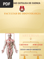 Región Geniana o Región de La Mejilla | PDF | Anatomía | Anatomía humana