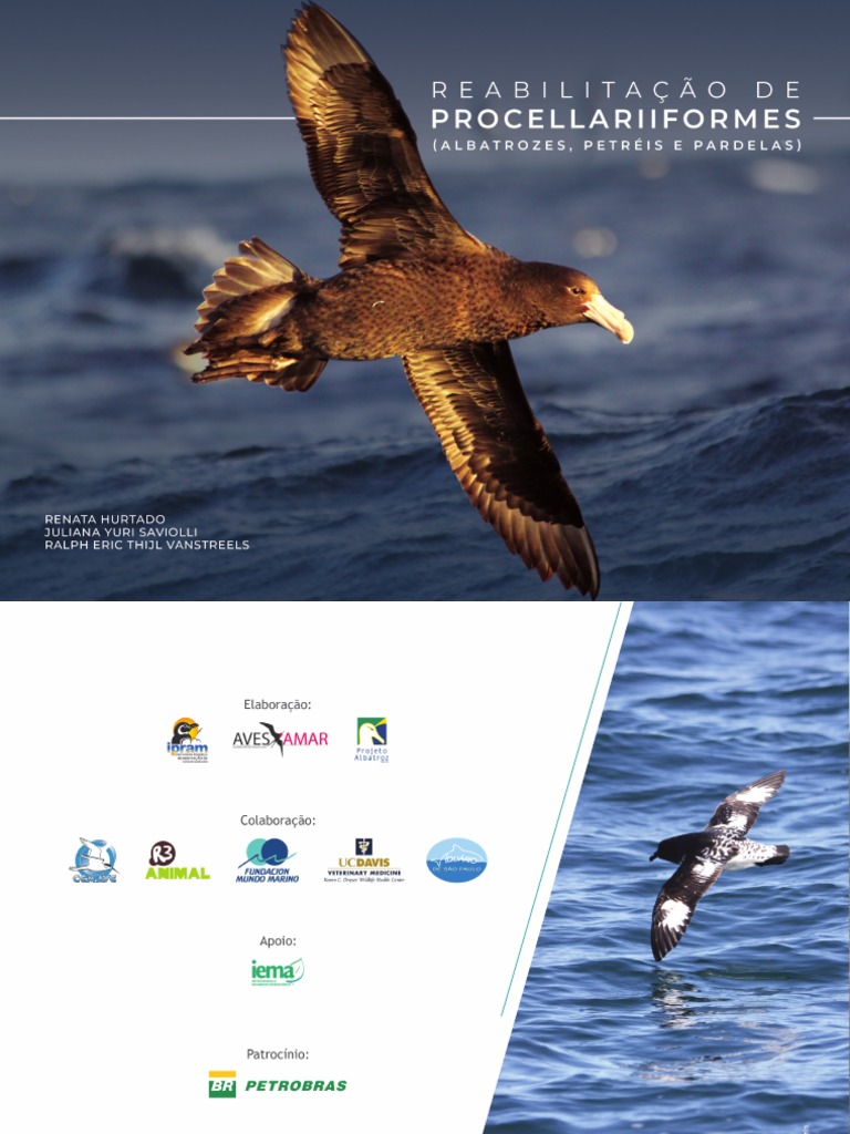 Livro Reabilita o de Procellariiformes | PDF | Aves | Ornitologia