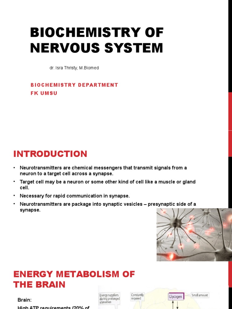 Biochemistry of Nervous System | PDF | Chemical Synapse | Neurotransmitter