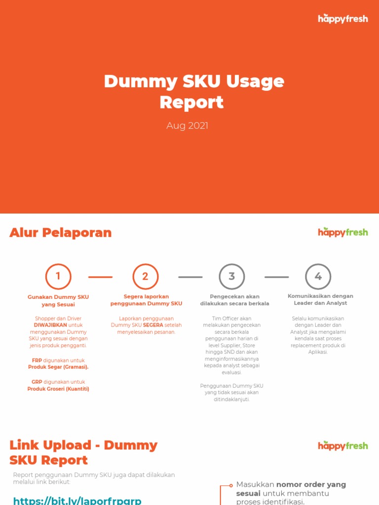Dummy Sku Usage - SND Report | PDF