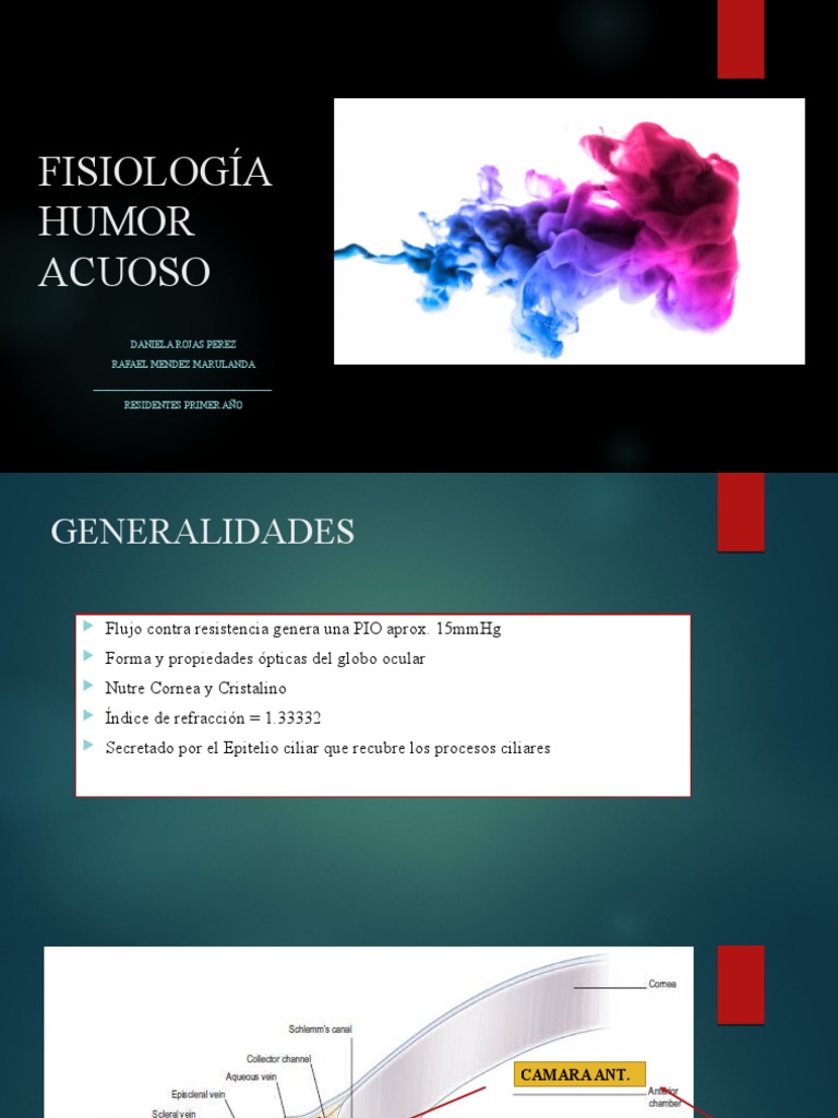 Fisiología Humor Acuoso | PDF | Córnea | Epitelio