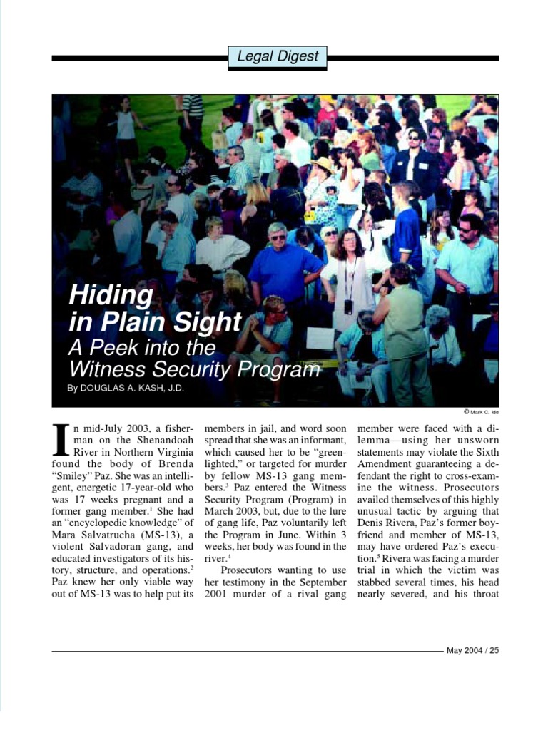 Hiding in Plain Sight: A Peek Into The Witness Security Program | PDF ...