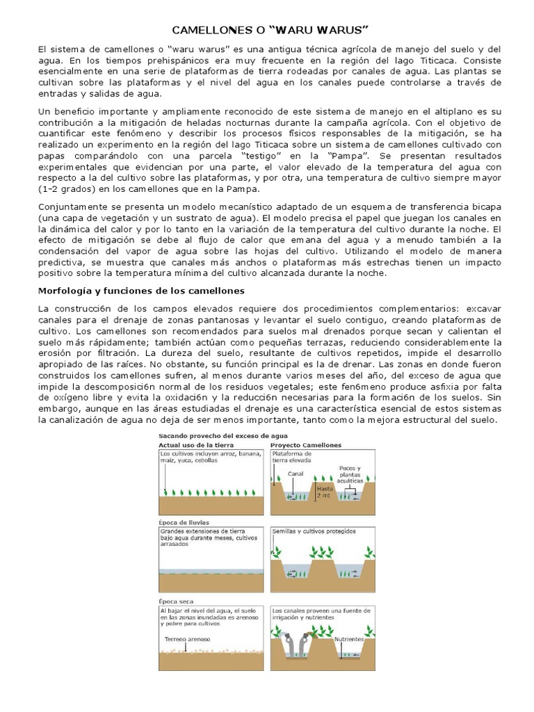 Camellones o | PDF | Agua | Geografía Física