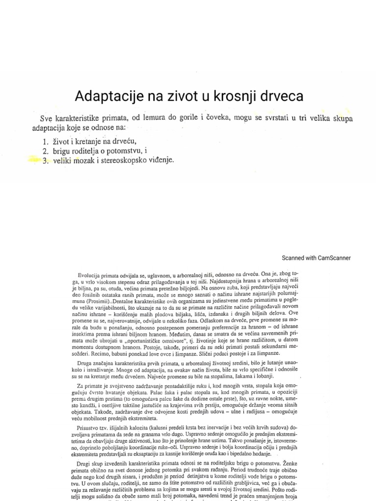 Adaptacije Na Zivot U Krosnji Drveca | PDF