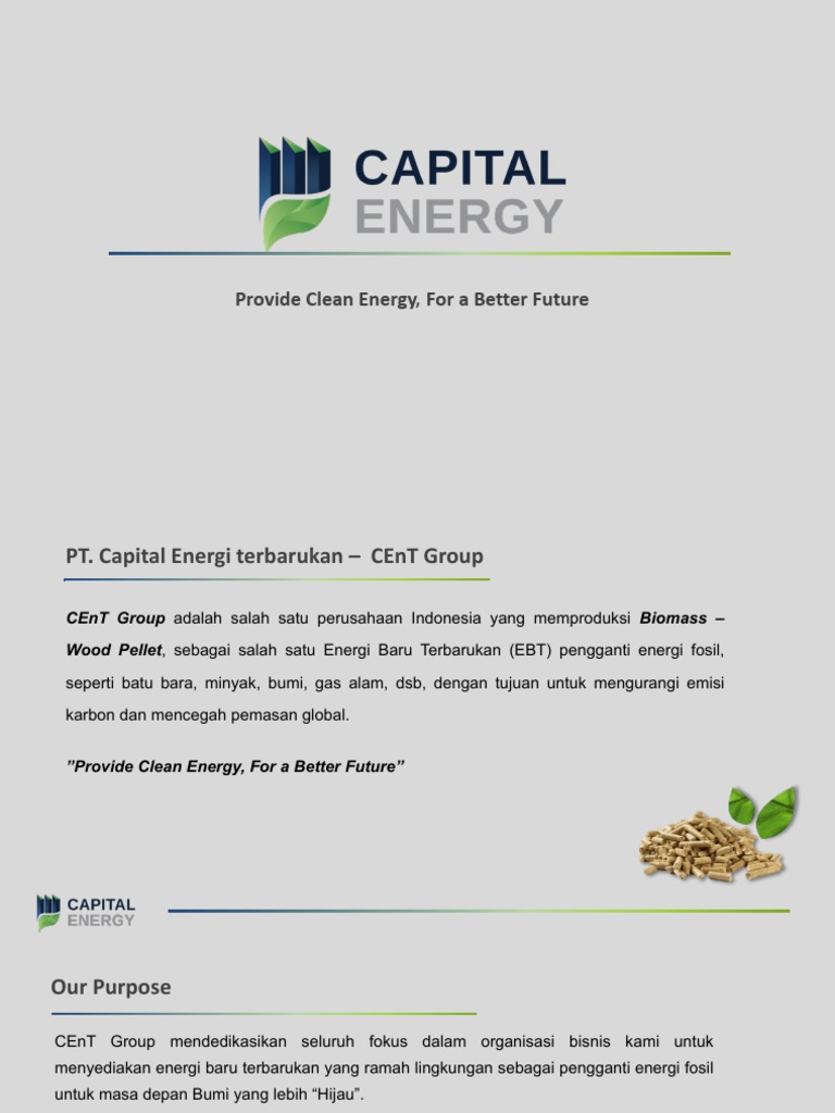 Company Profile Cent Group | PDF