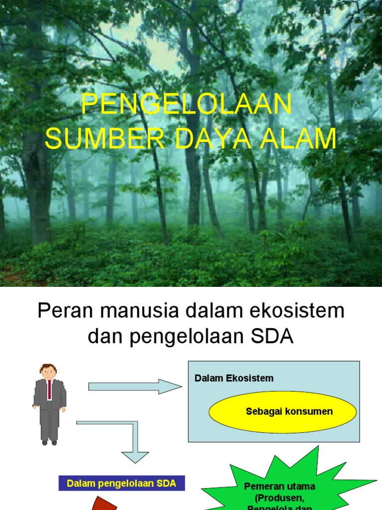 1 Pengelolaan Sda | PDF