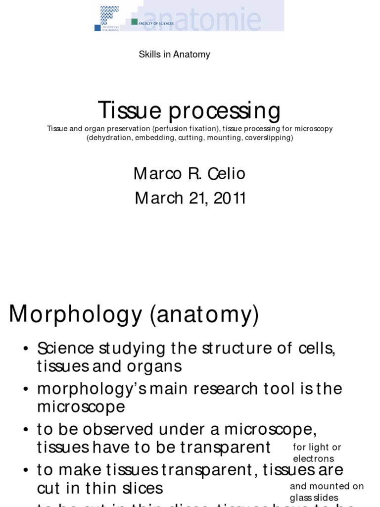 Anatomy Skills: Tissue Processing Techniques for Microscopy | PDF ...