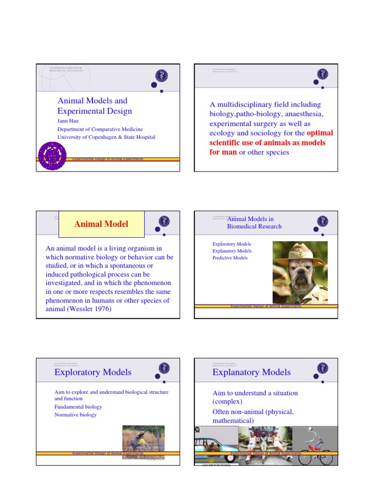 Animal Models | PDF | Model Organism | Experiment