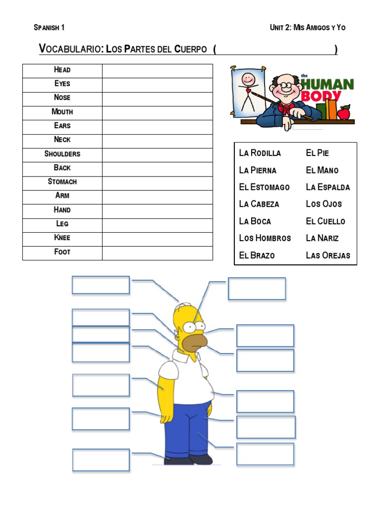 Spanish 1 - Body Parts, Bingo, & Simon Says | PDF