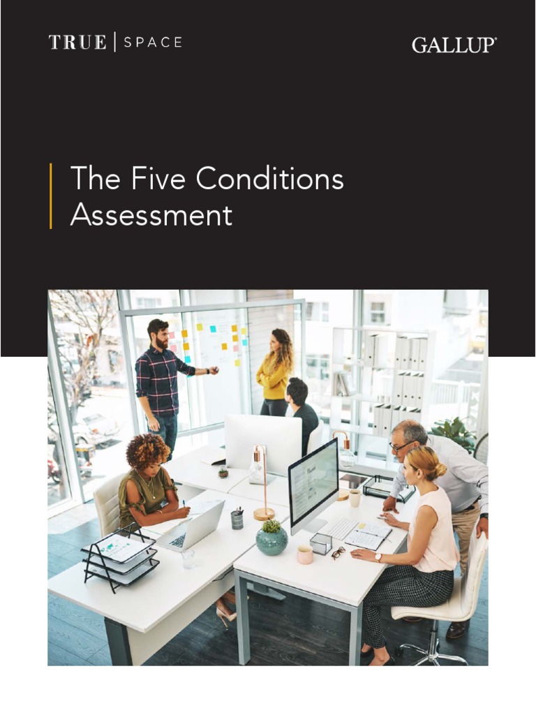 The Five Conditions Assessment | PDF | Economic Growth | Entrepreneurship