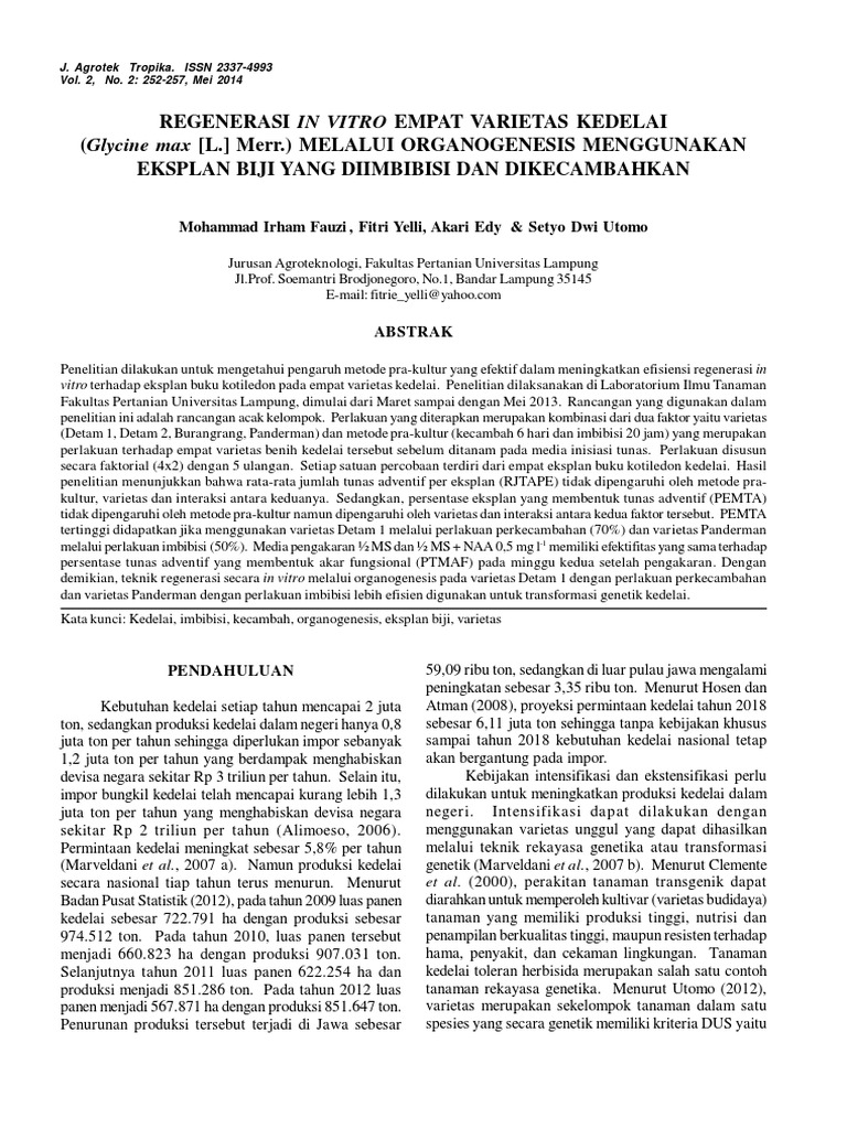 3.eksplan Biji Kedelai Imbibisi | PDF
