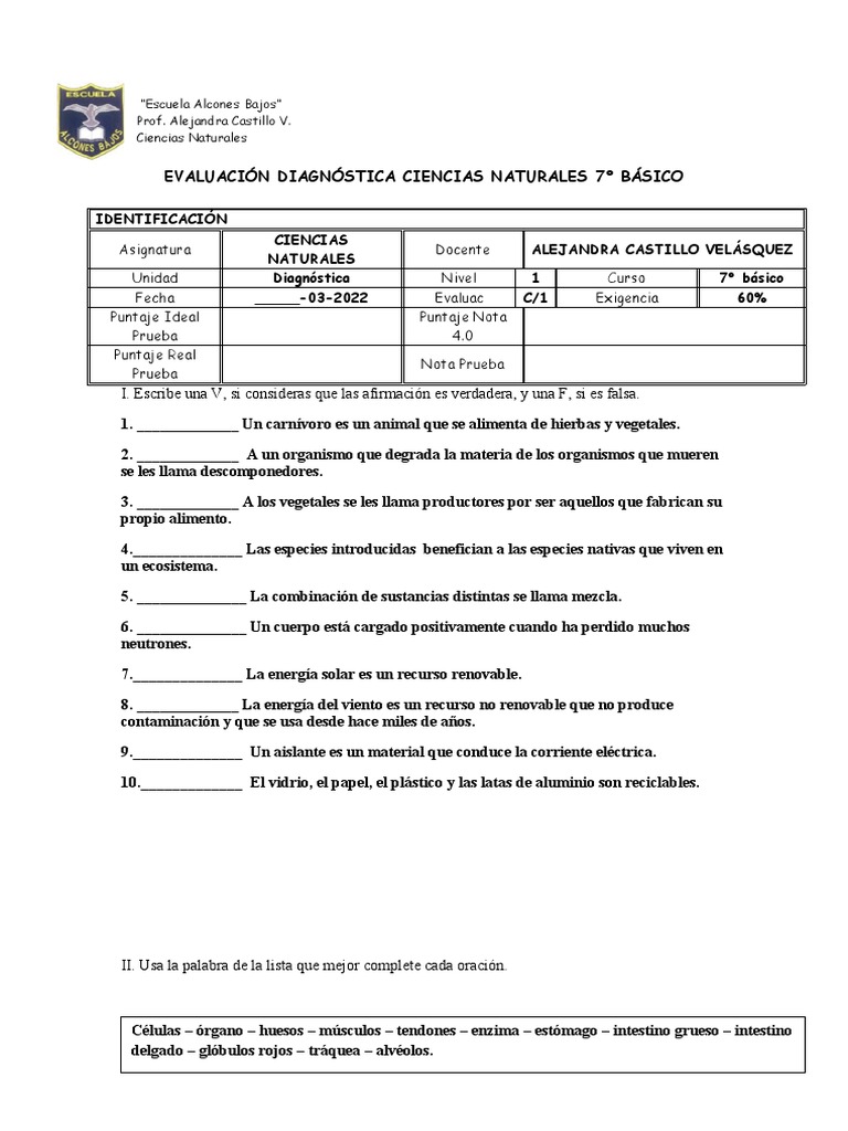 Evaluación Diagnóstica Ciencias Naturales 7° | PDF | Digestión | Sangre