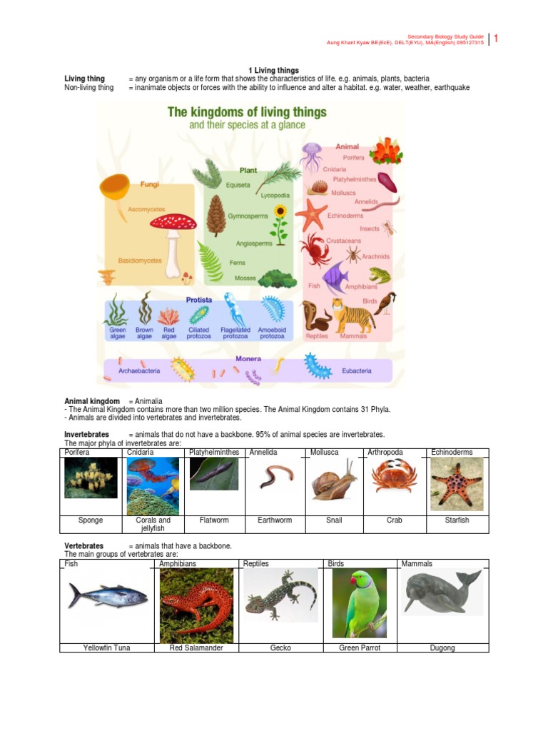 1 Living Things Living Thing: Secondary Biology Study Guide Aung Khant ...