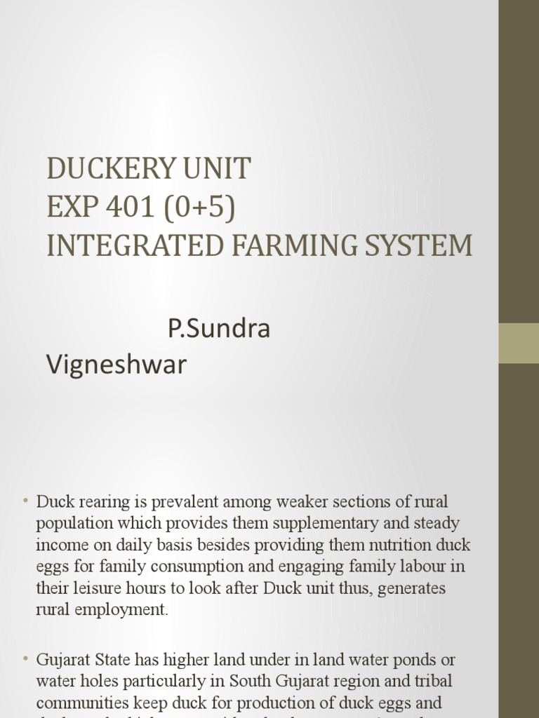 Duckery Unit EXP 401 (0+5) Integrated Farming System: P.Sundra ...