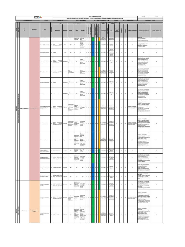 2-Matriz de IPVR | PDF | Medicina | Ciencias de la Salud