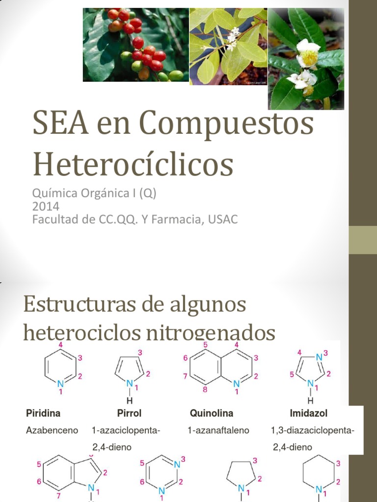 Compuestos Heterocíclicos SEA | PDF | Piridina | Aromaterapia