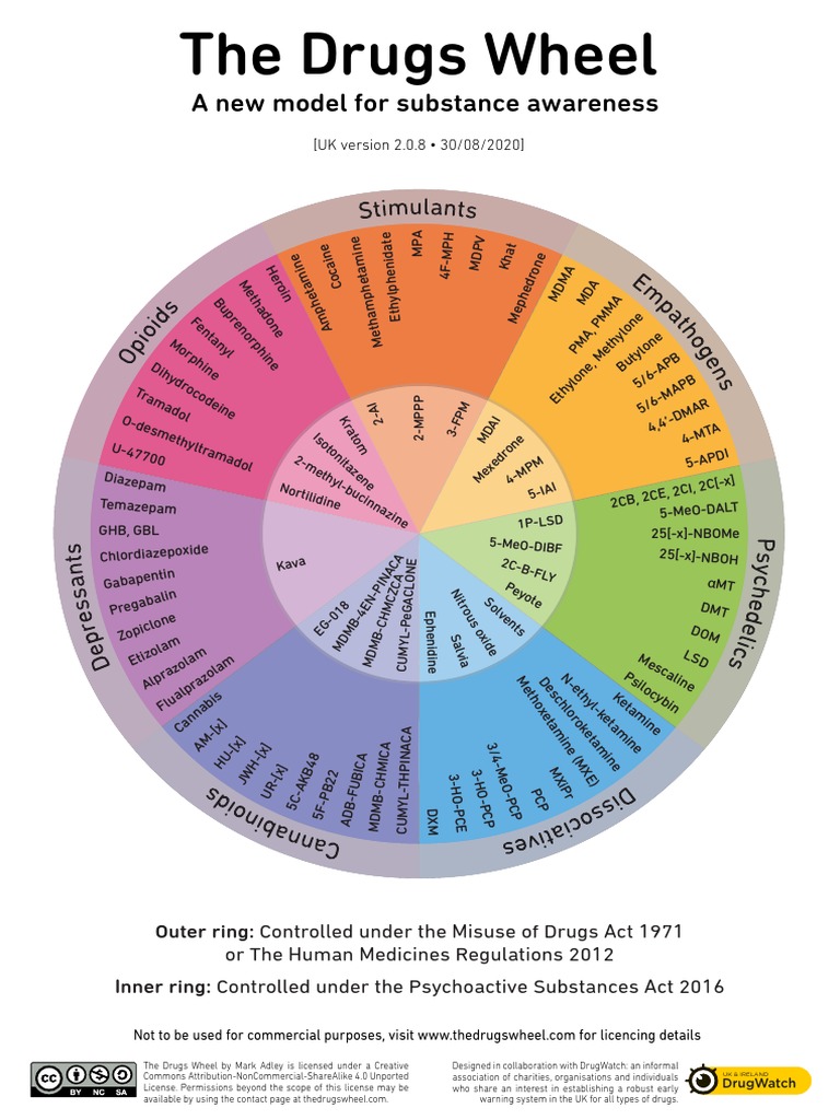 The Drugs Wheel: Insights into Substance Awareness | PDF ...