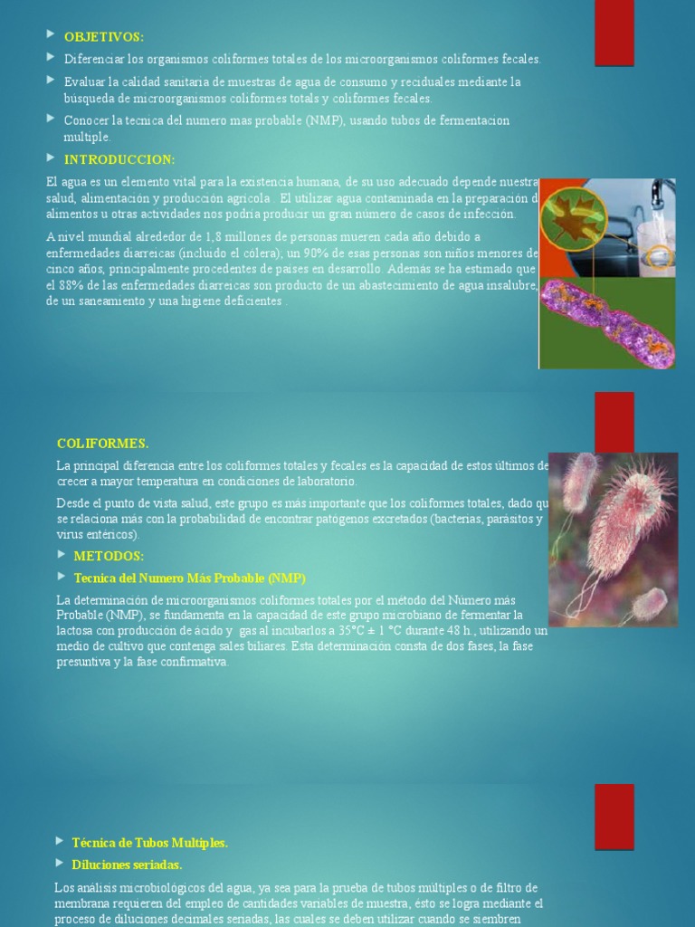 Determinacion de Coliformes Totales y Fecales en Agua | PDF | Agua ...