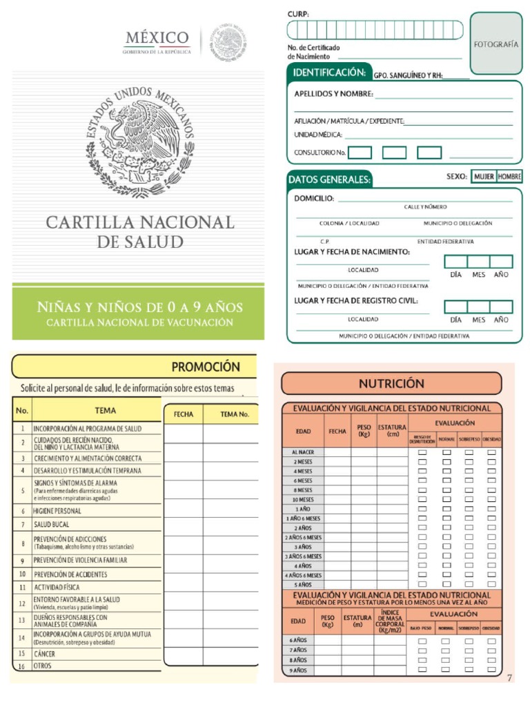Formato Cartilla Niño | PDF