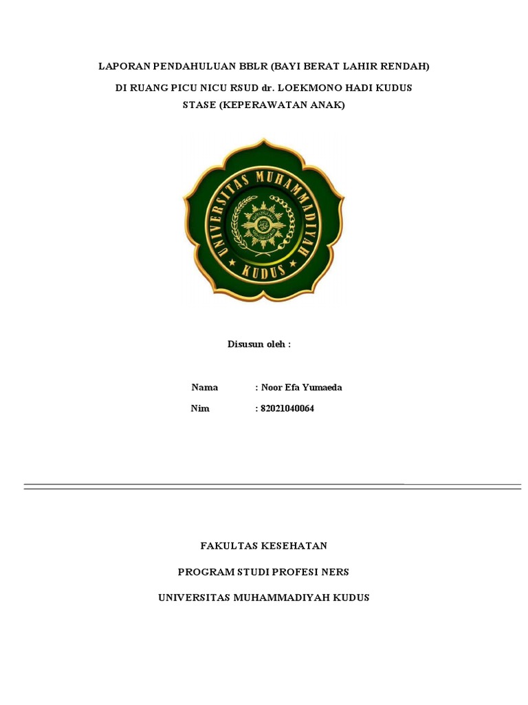 LP BBLR Picu Nicu | PDF