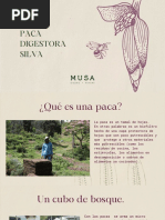 Instructivo de La Paca Digestora Silva | PDF | Residuos | Suelo