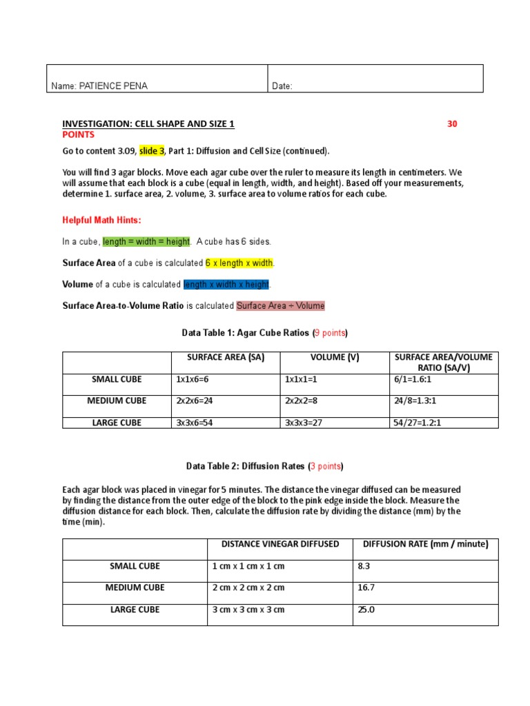 Cell Shape and Size 1 | Download Free PDF | Surface Area | Volume
