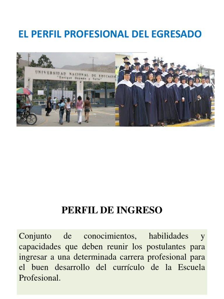 Perfiles Del Egresado | PDF | Plan de estudios | Cognición