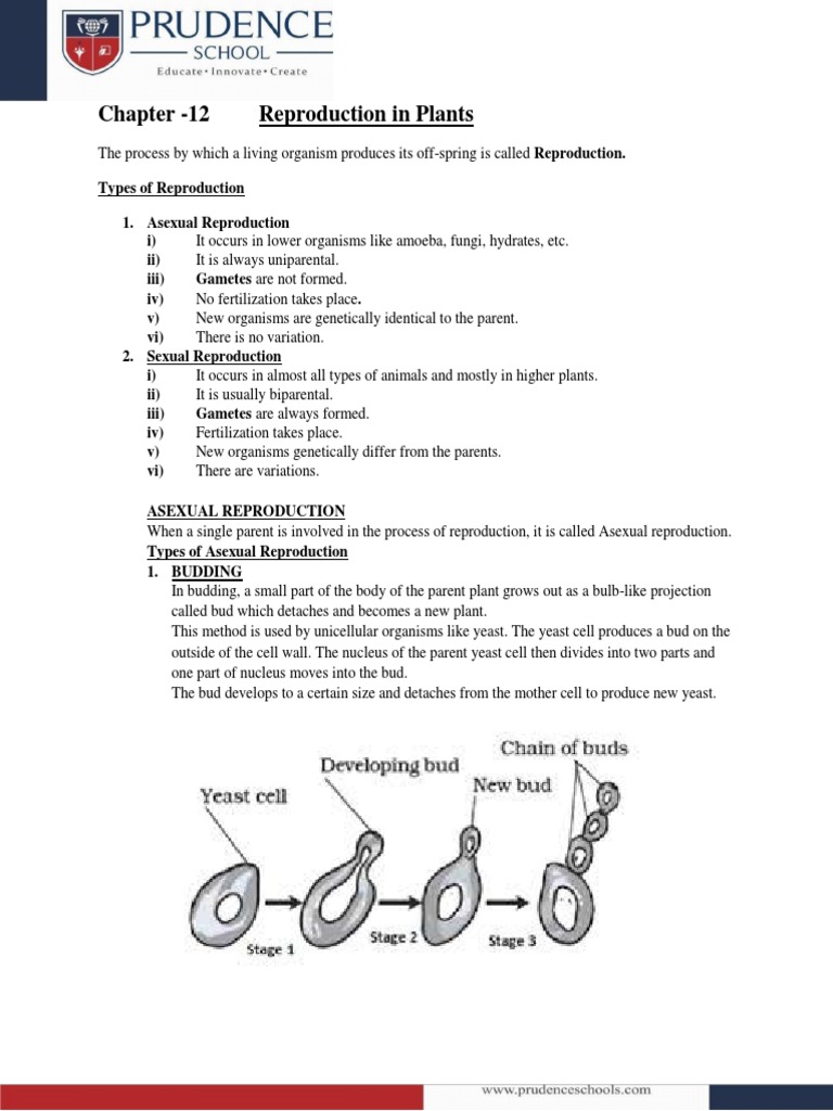 Reproduction in Plants Notes | PDF | Pollination | Flowers