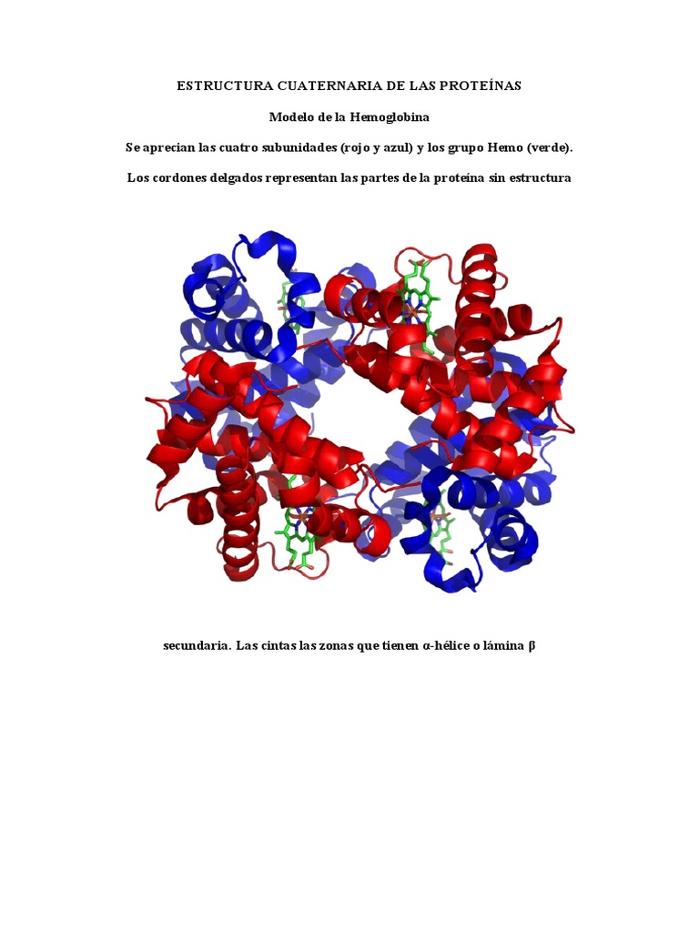 Estructura Cuaternaria de Las Proteínas | PDF