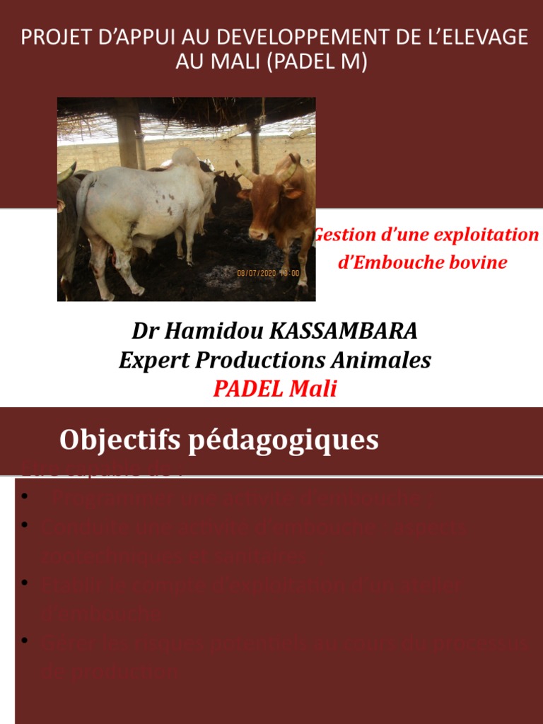 Module Embouche 2 | PDF | Nourritures | Bovins domestiques
