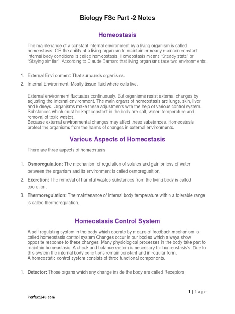 Homeostasis in Biology: Class 12 Notes | PDF | Kidney | Anatomy