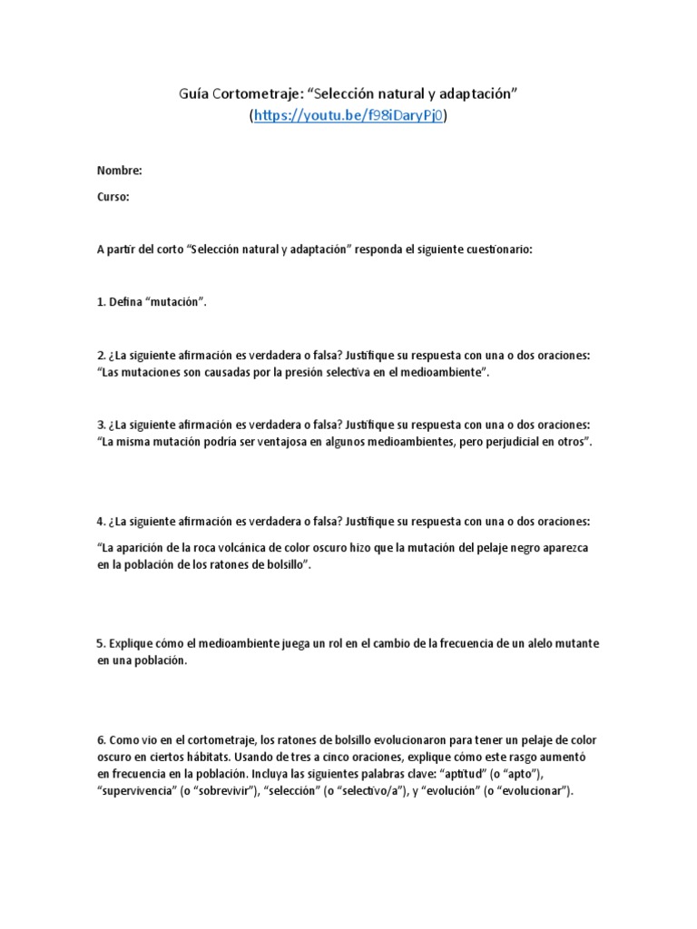 Guía Cortometraje SN y Adaptación | PDF